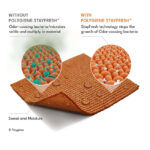 StayFresh™ - Polygiene China